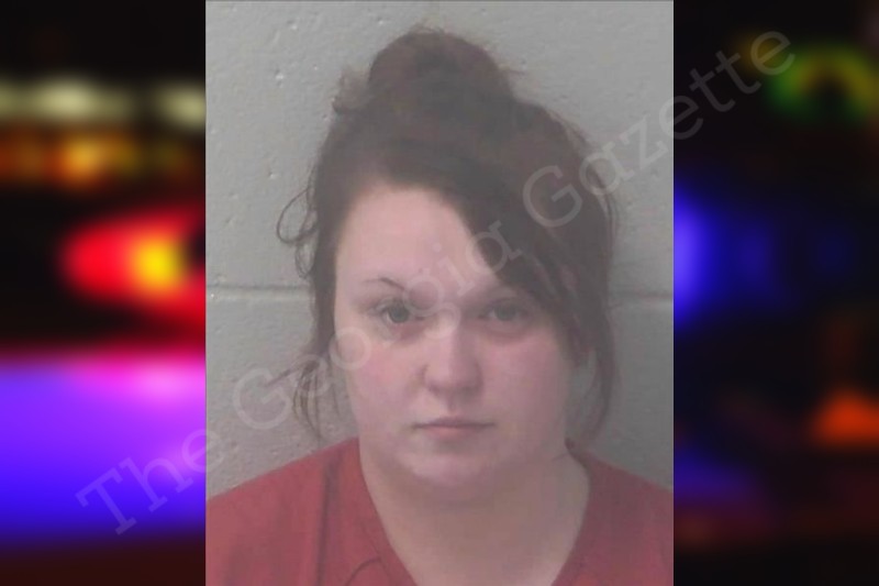 Casey Fields | Newton County Jail Bookings