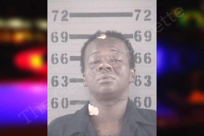 Angela Fletcher — Dougherty County Jail Bookings