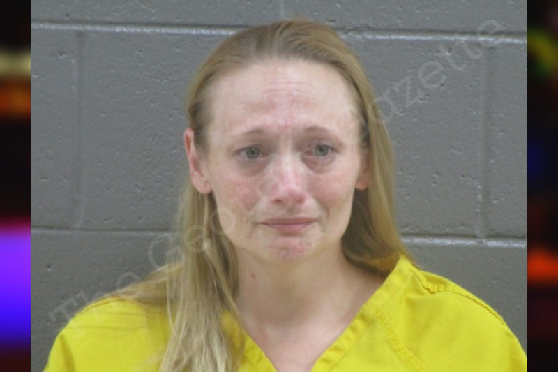 Erica Mccabe — Banks County Jail Bookings