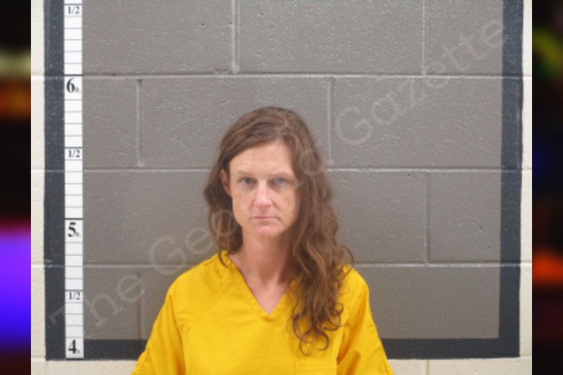 Melissa Toole — Banks County Jail Bookings