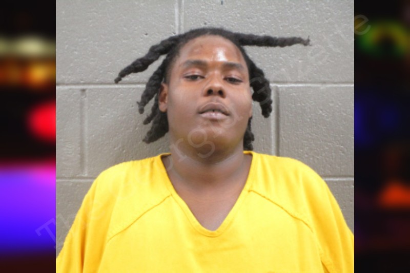 Austin Willis — Banks County Jail Bookings