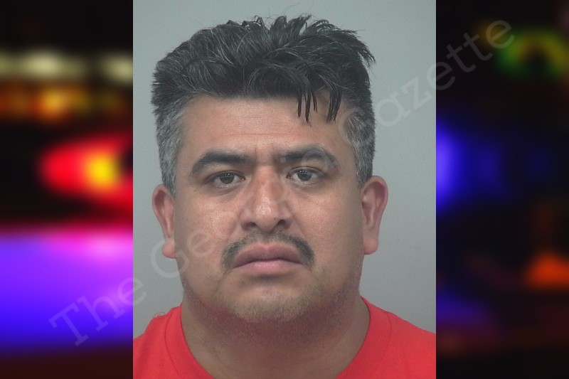 Abel Gallaga-Ramirez — Gwinnett County Jail Bookings
