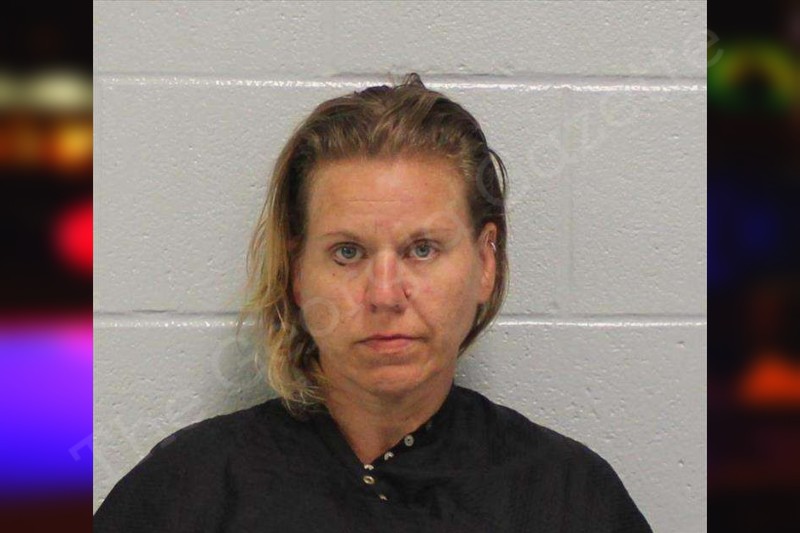 Brandy Gaylor — Carroll County Jail Bookings