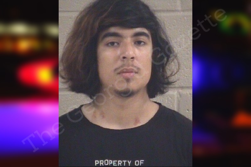 Julio Gonzalez — Whitfield County Jail Bookings Julio Gonzalez — Whitfield County Jail Bookings