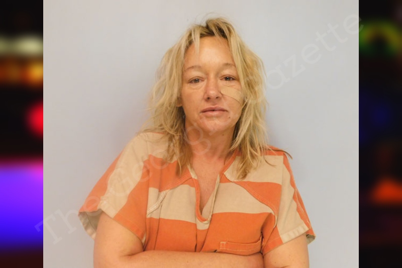 Tonya Groover — Hall County Jail Bookings