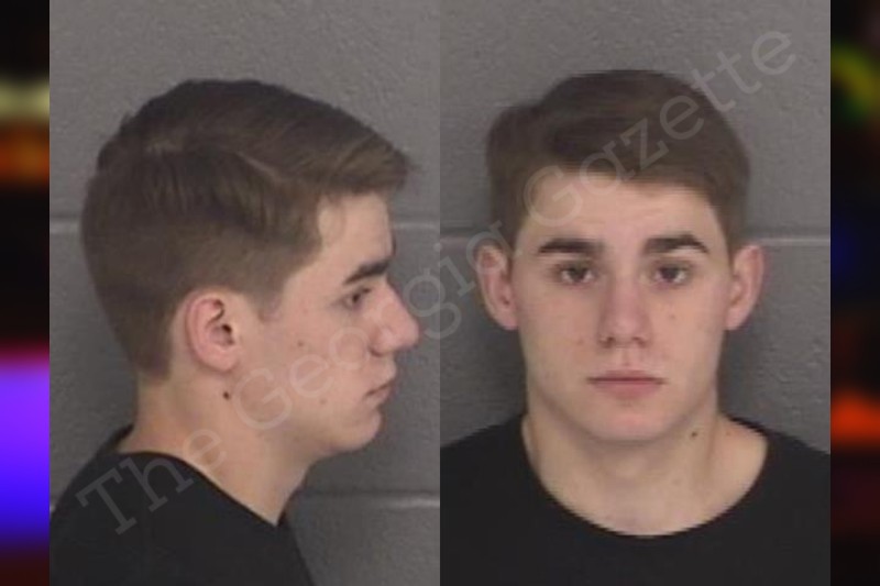 Joseph Garner — Barrow County Jail Bookings