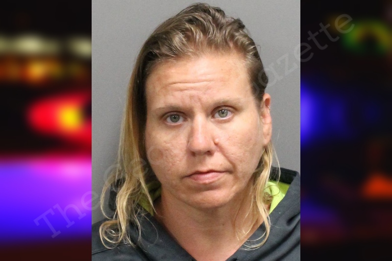 Brandy Gaylor — Cobb County Jail Bookings
