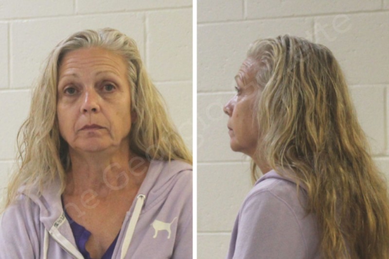 Lisa Grantham — Houston County Jail Bookings