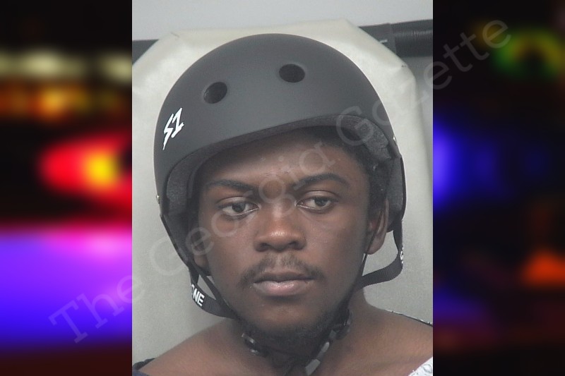 Cameron Hamilton — Gwinnett County Jail Bookings