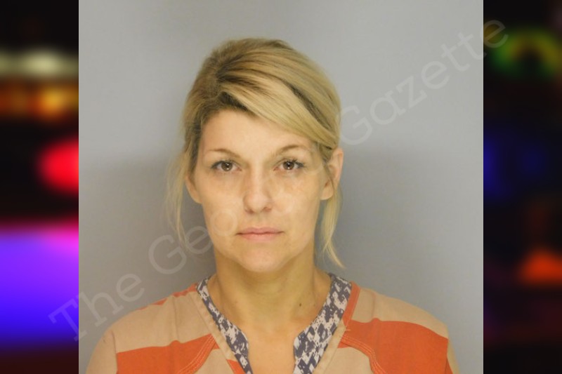 Angie Hanley — Hall County Jail Bookings
