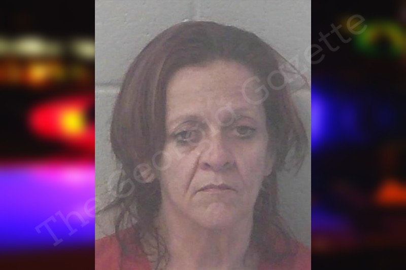 Elizabeth Hord — Newton County Jail Bookings
