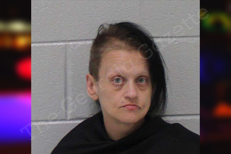 Lisa Hunt — Carroll County Jail Bookings