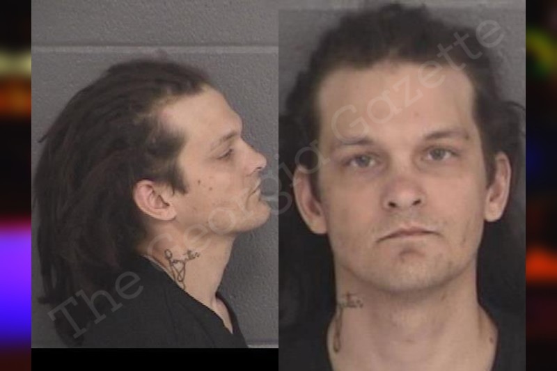 Codi Hall — Barrow County Jail Bookings