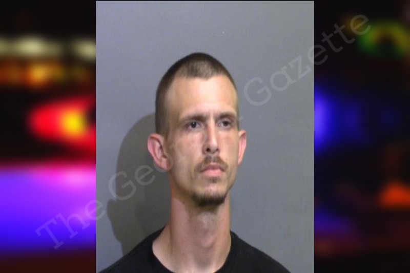 Michael Hickson — Glynn County Jail Bookings