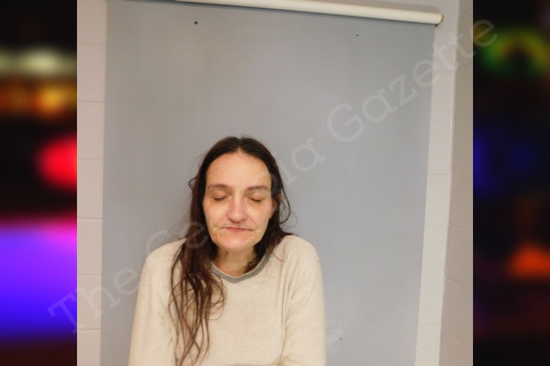 Jennifer Joy — Hall County Jail Bookings