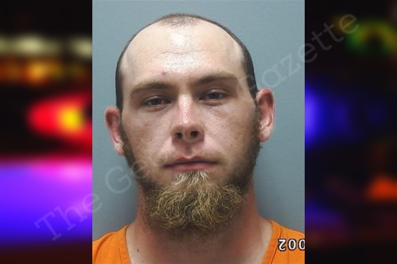 Ethan Jenkins — Cherokee County Jail Bookings