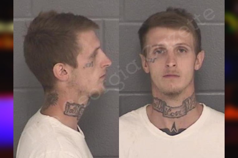 Austin Jones — Barrow County Jail Bookings