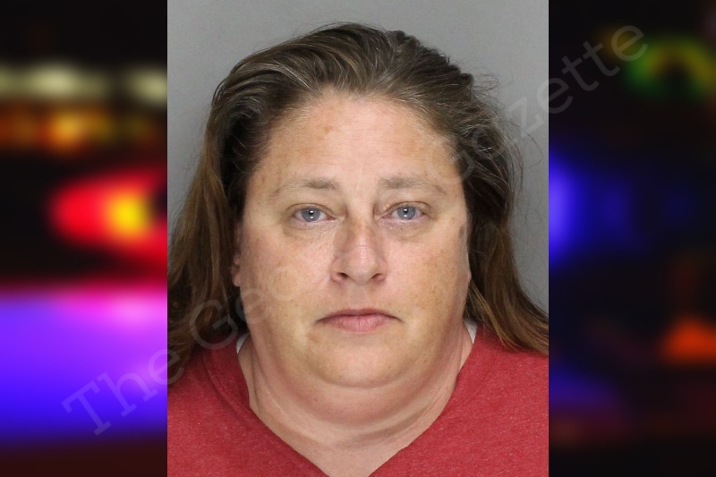 Suzanne King — Cobb County Jail Bookings
