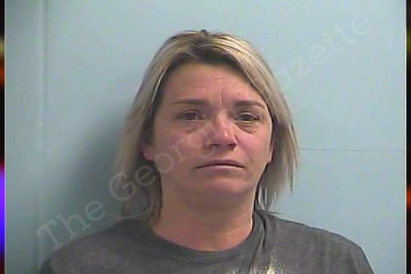 Misty Kobor — Dawson County Jail Bookings
