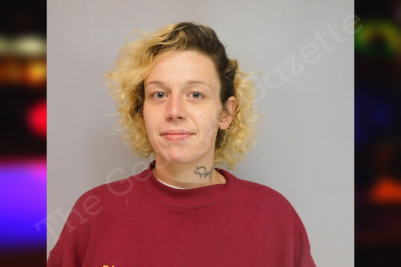 Shelby Landon — Hall County Jail Bookings
