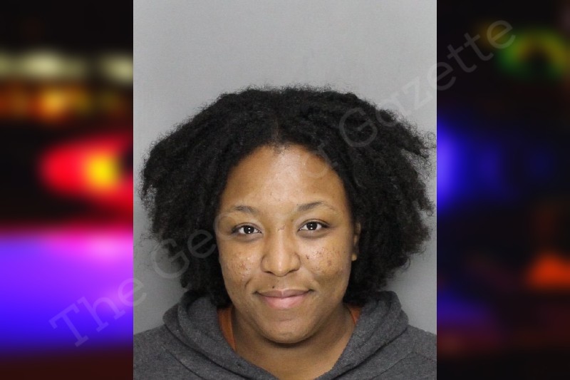 Samantha Lemorin — Cobb County Jail Bookings