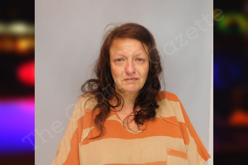 Adele Lewallen — Hall County Jail Bookings