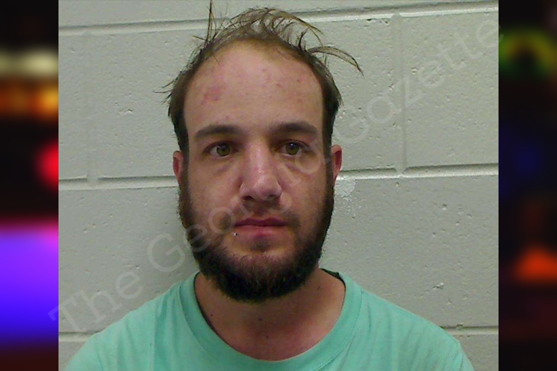 Tyler Long — Bulloch County Jail Bookings
