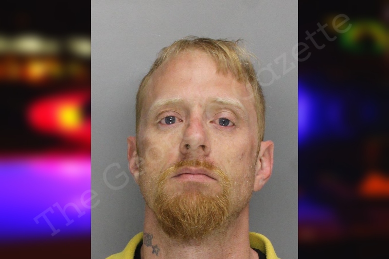 Brian Landrum — Cobb County Jail Bookings