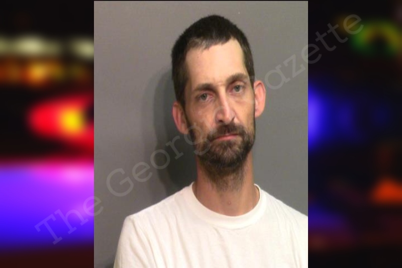 David Layton — Glynn County Jail Bookings