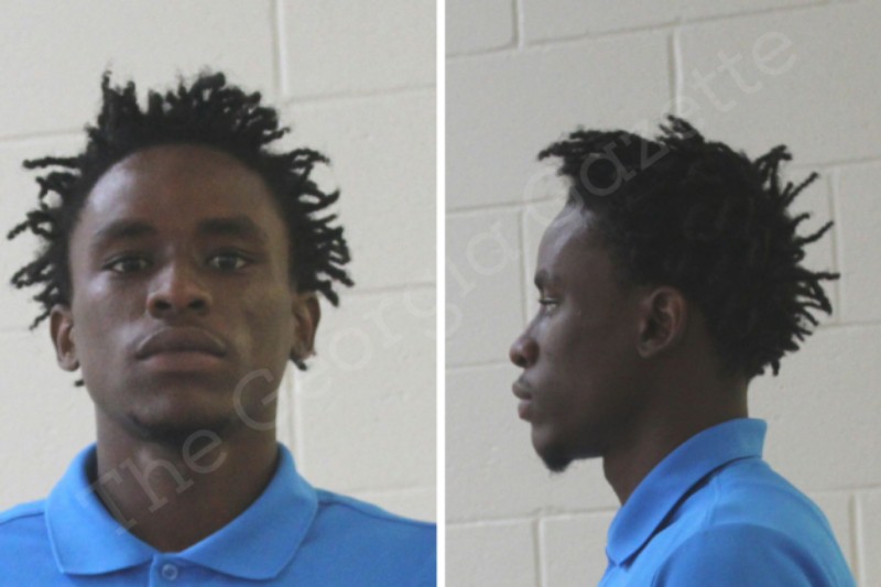 Tamar Lewis — Houston County Jail Bookings