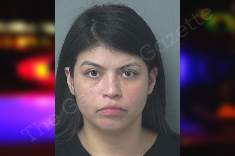 Jamie Maldonado — Gwinnett County Jail Bookings
