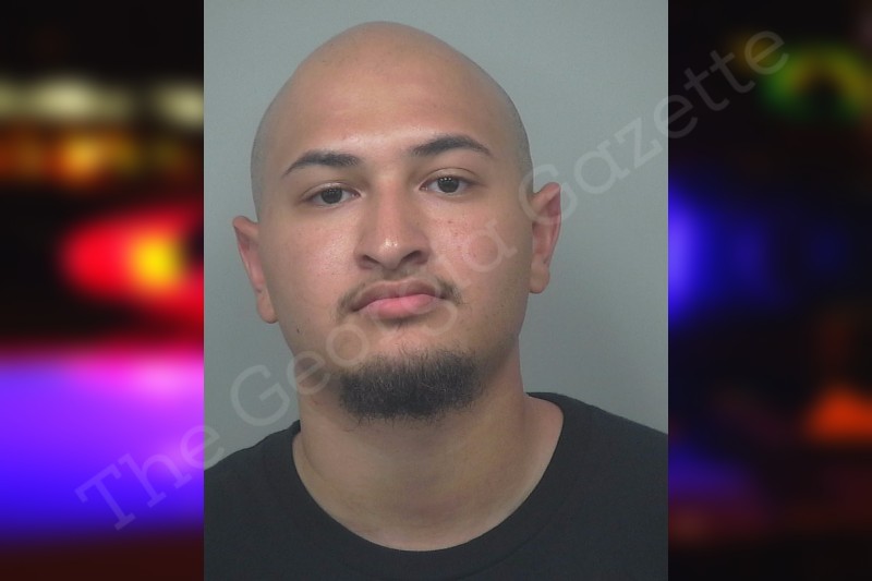 Angel Marte — Gwinnett County Jail Bookings