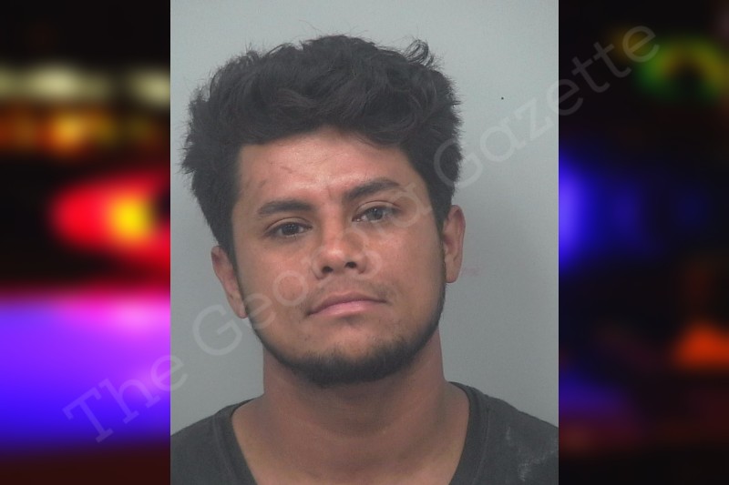 Marvin Mejia Ayala — Gwinnett County Jail Bookings