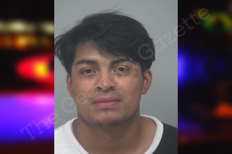 Marvin Molina Bail | Gwinnett County