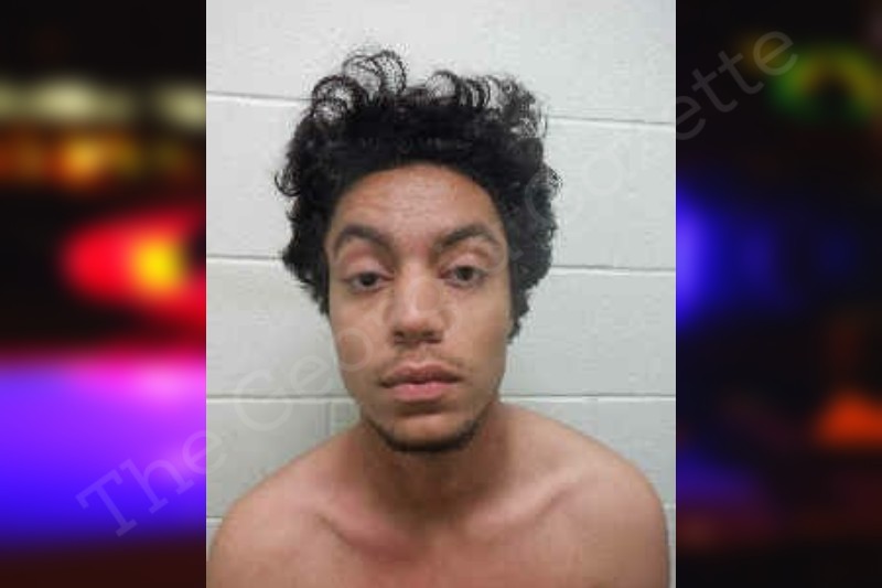 Arian Motamedi — Henry County Jail Bookings