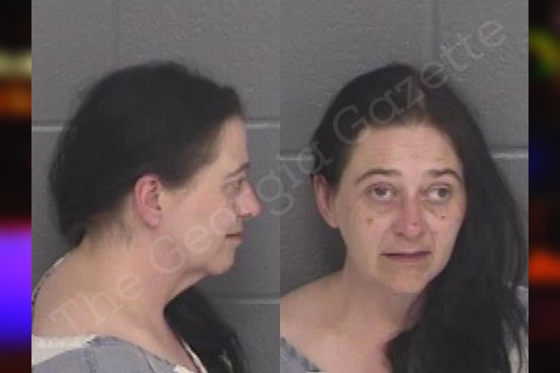 Rebecca Mitchell — Barrow County Jail Bookings