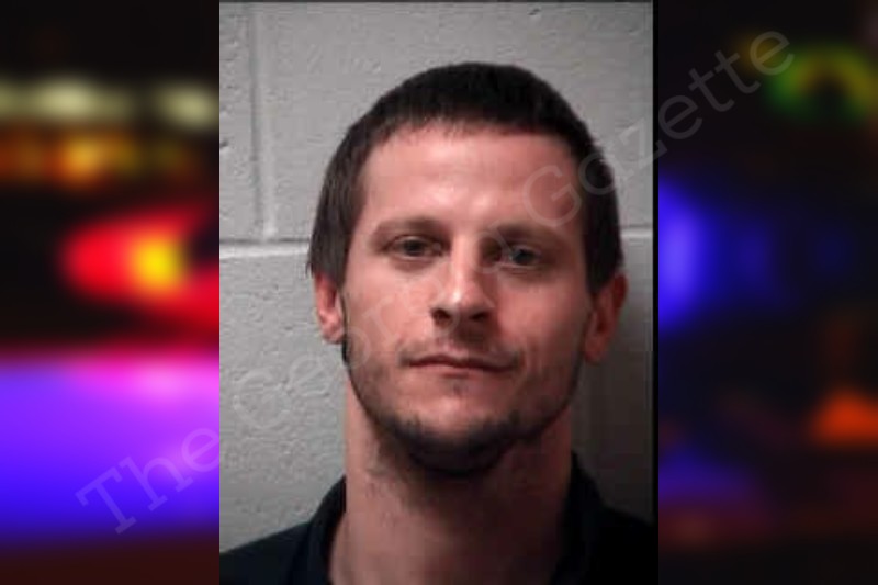 Adam Nelson — Henry County Jail Bookings