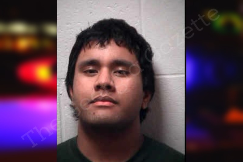 Luke Oconnor — Henry County Jail Bookings