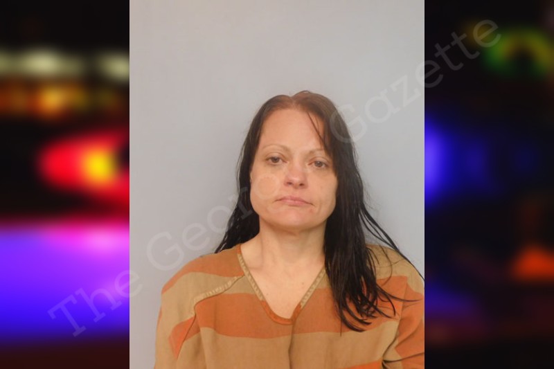 Christy Orr — Hall County Jail Bookings