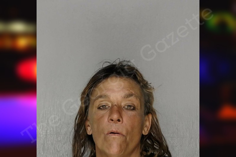 Priscilla Watson — Bibb County Jail Bookings