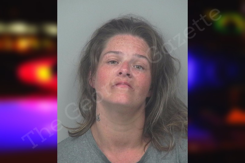 Danielle Quinn — Gwinnett County Jail Bookings