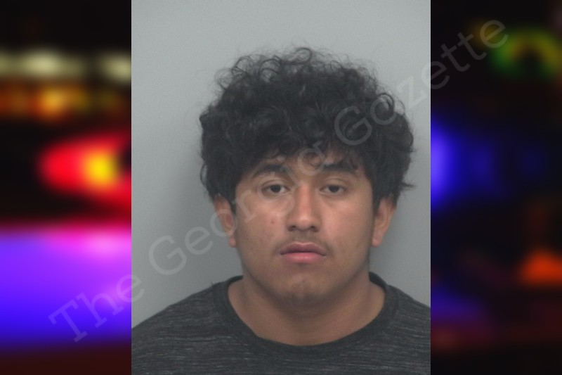 Wilber Rizo Ramirez — Gwinnett County Jail Bookings