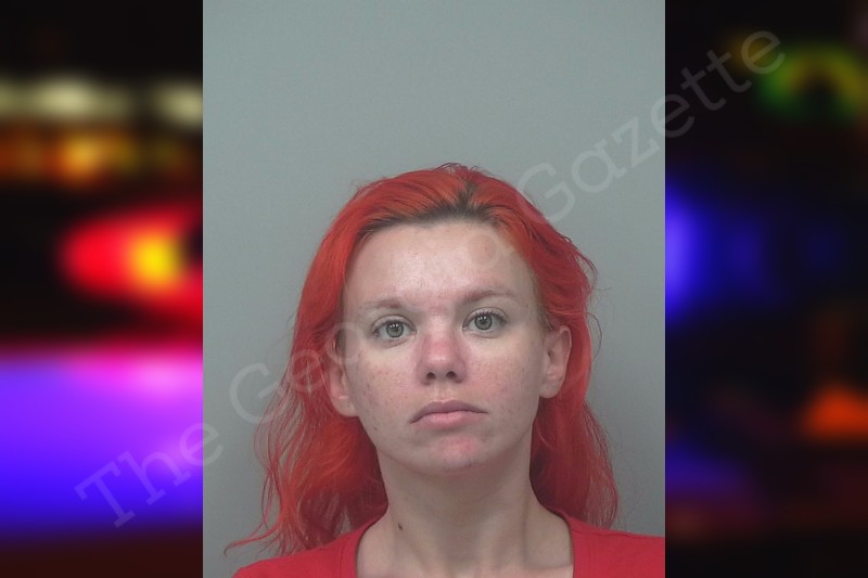 Brittany Roach — Gwinnett County Jail Bookings
