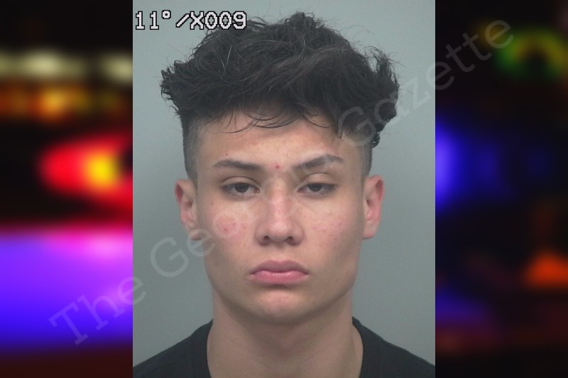 Jan Rodriguez — Gwinnett County Jail Bookings