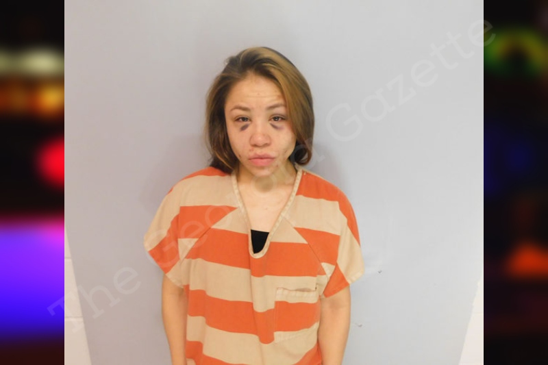 Luz Rodriguez — Hall County Jail Bookings