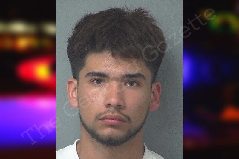 Mario Romo | Gwinnett County Jail Bookings