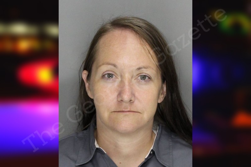 Amanda Rakestraw — Cobb County Jail Bookings
