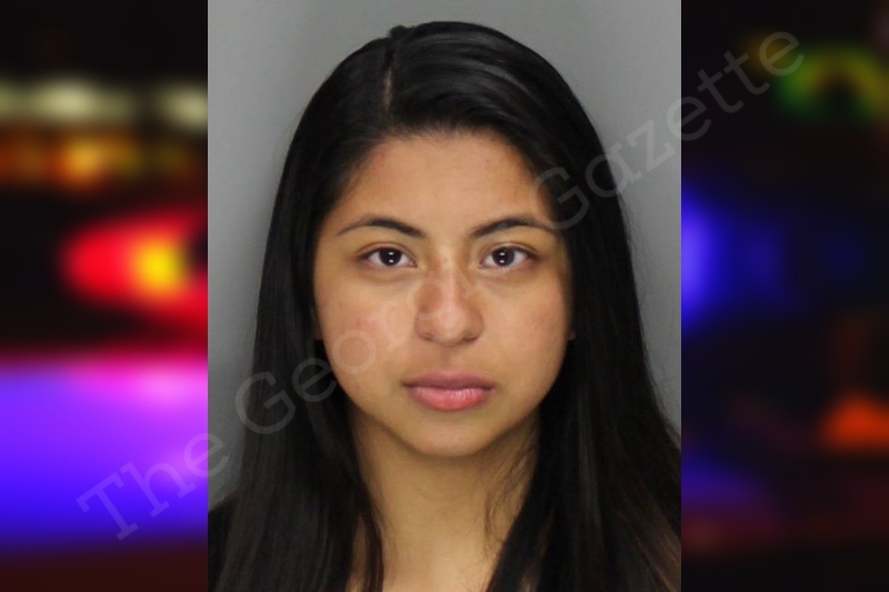 Cecilia Ramirez — Cobb County Jail Bookings