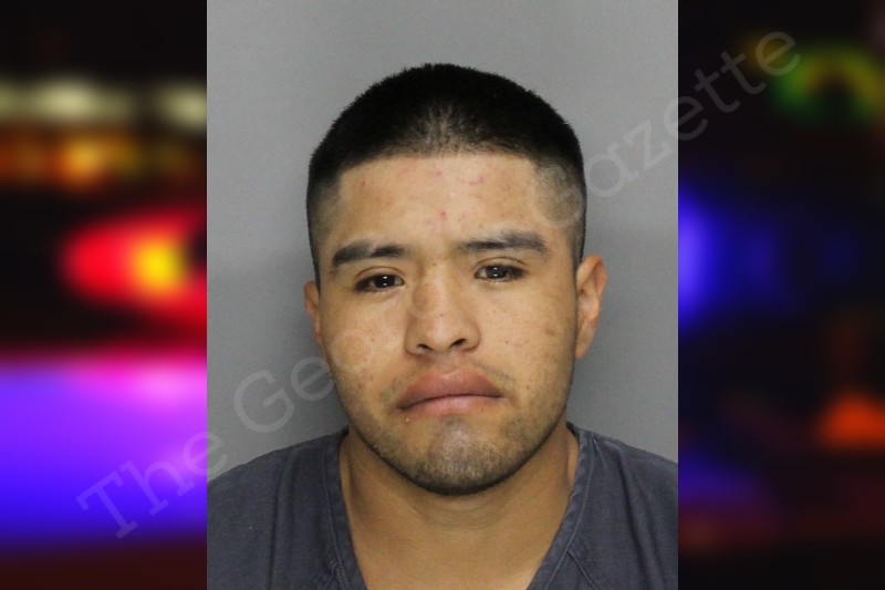 Fernando Ramirez — Cobb County Jail Bookings