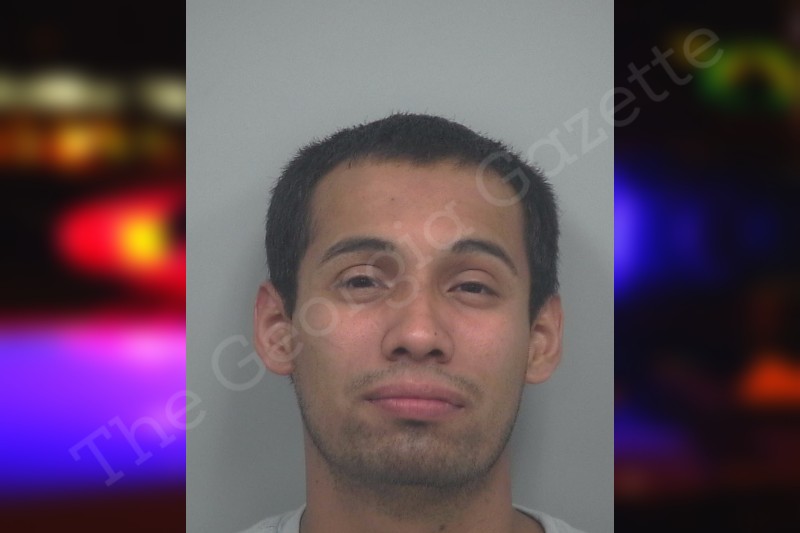 Luis Rangel — Gwinnett County Jail Bookings